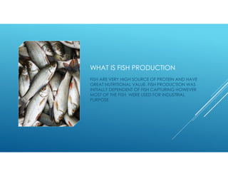 FISH PRODUCTION.pdf