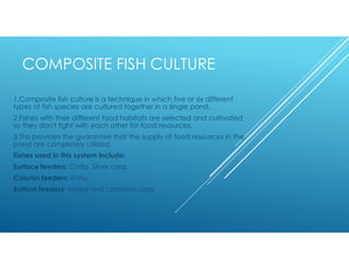 FISH PRODUCTION.pdf