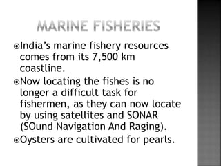 Fish production & bee keeping - Arjun | PPTX