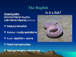 FISH 10-2 kiril, siyana | PPT