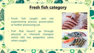 Fish Quality.pptx
