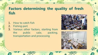 Fish Quality.pptx