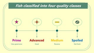 Fish Quality.pptx