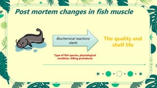 Fish Quality.pptx