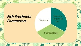 Fish Quality.pptx