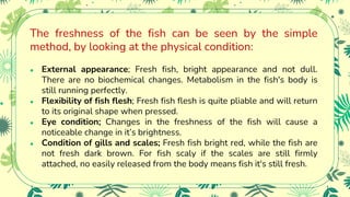 Fish Quality.pptx