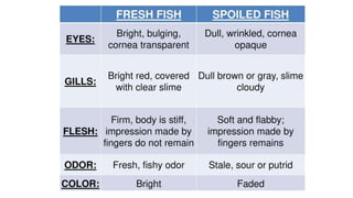 Fish Quality.pptx