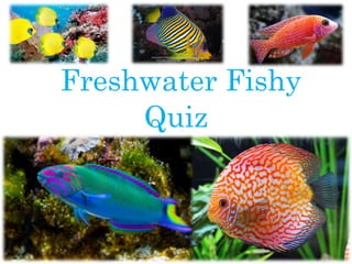 Fish quiz eimear tynan | PPT