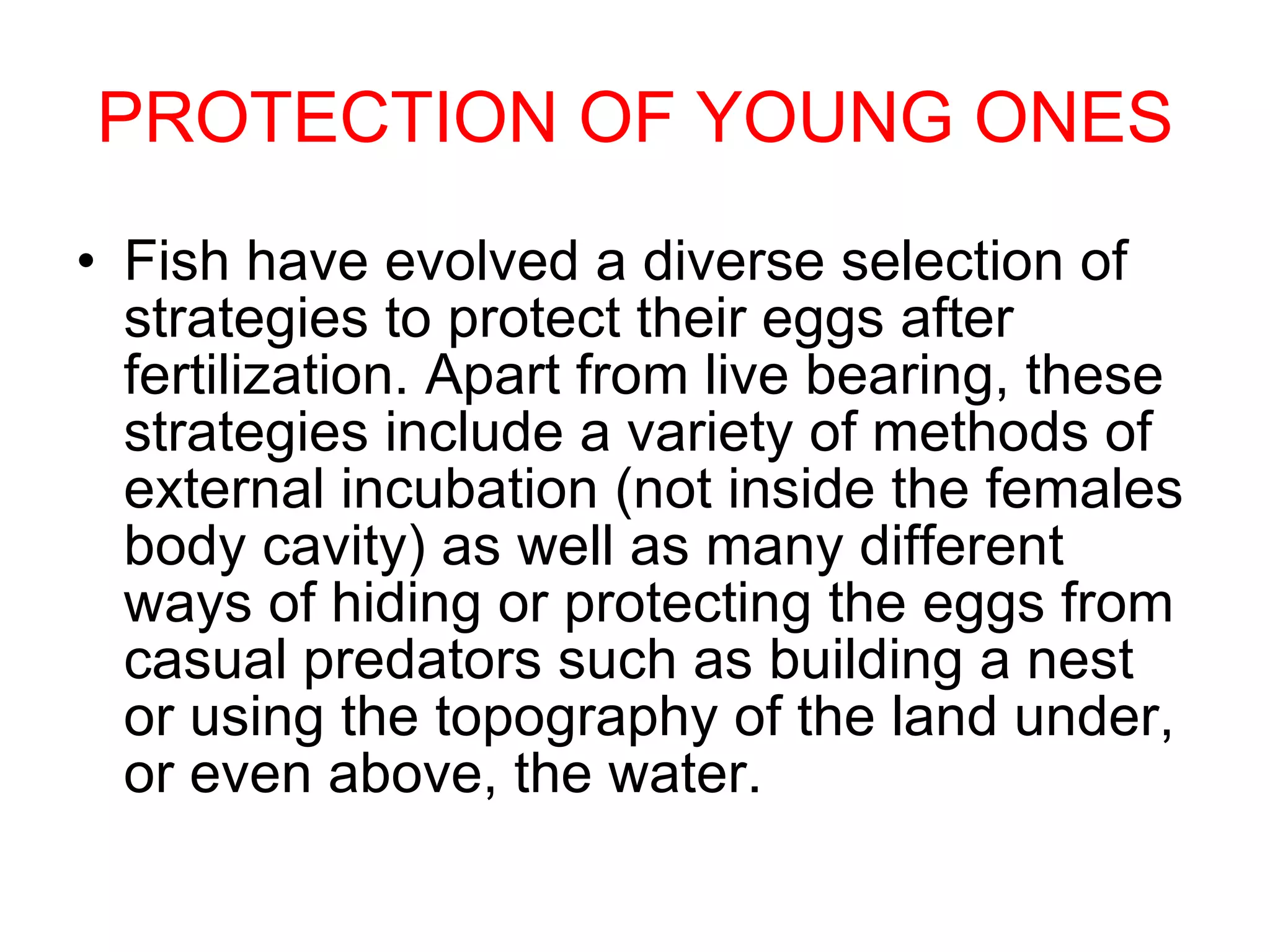 Fish reproduction | PPT