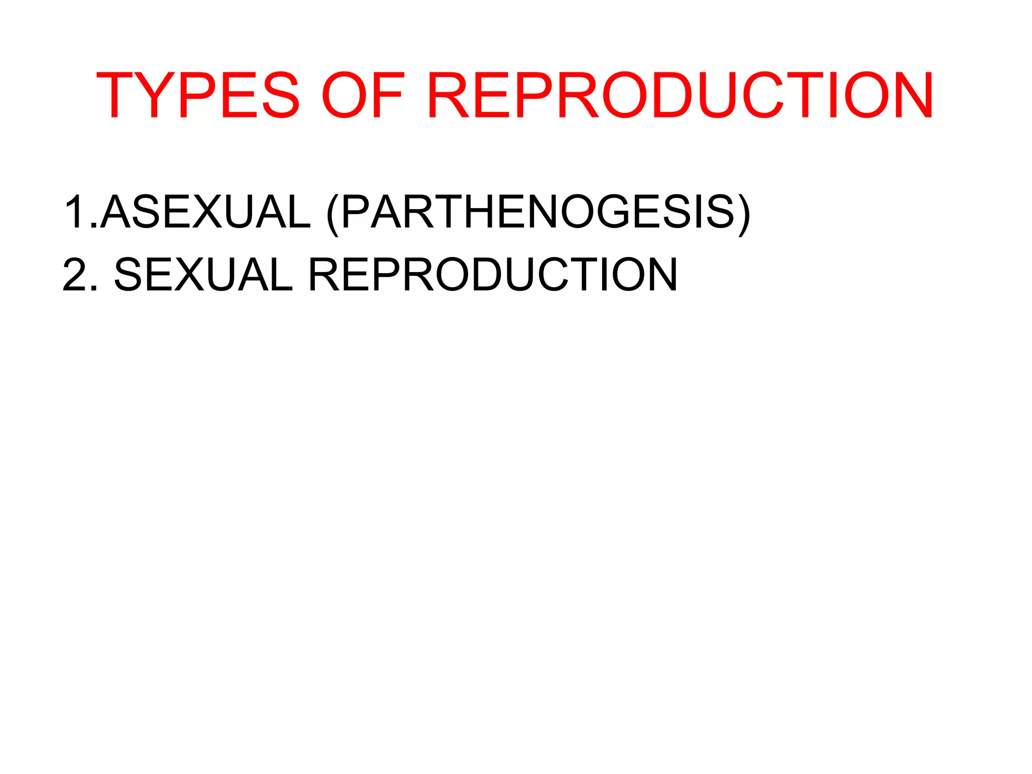 Fish reproduction | PPT