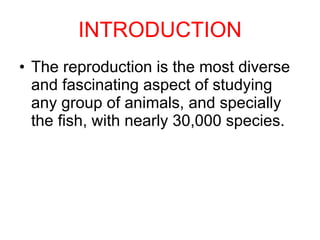 Fish Reproduction