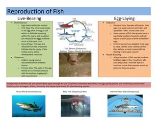 Fish reproduction | PPT