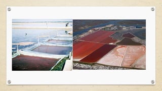 Fish reproduction and hatchery managment.pptx