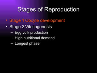 Fish reproduction razia | PPT
