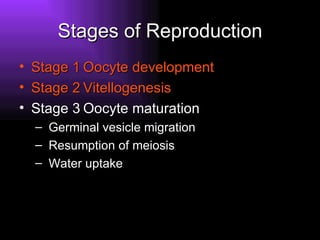 Fish reproduction razia | PPT