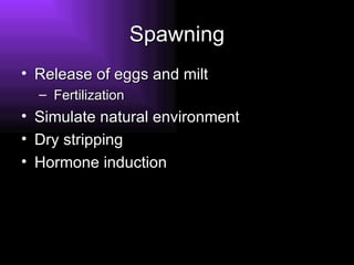 Fish reproduction razia | PPT