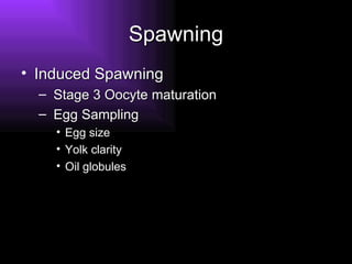 Fish reproduction razia | PPT