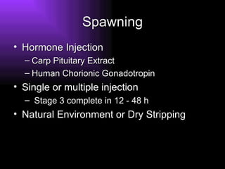 Fish reproduction razia | PPT