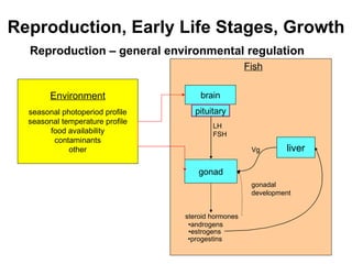Fish reproduction razia 2 | PPT