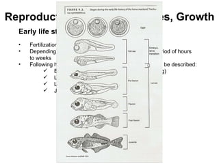 Fish reproduction razia 2 | PPT
