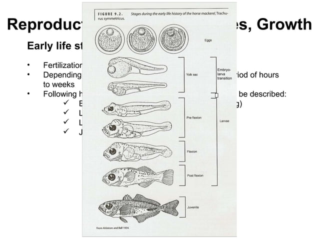 Fish reproduction razia 2 | PPT