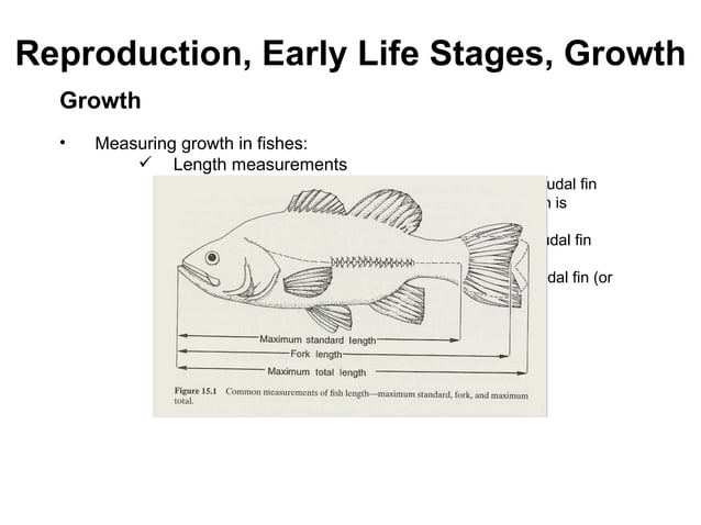 Fish reproduction razia 2 | PPT