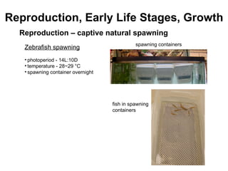 Fish reproduction razia 2 | PPT