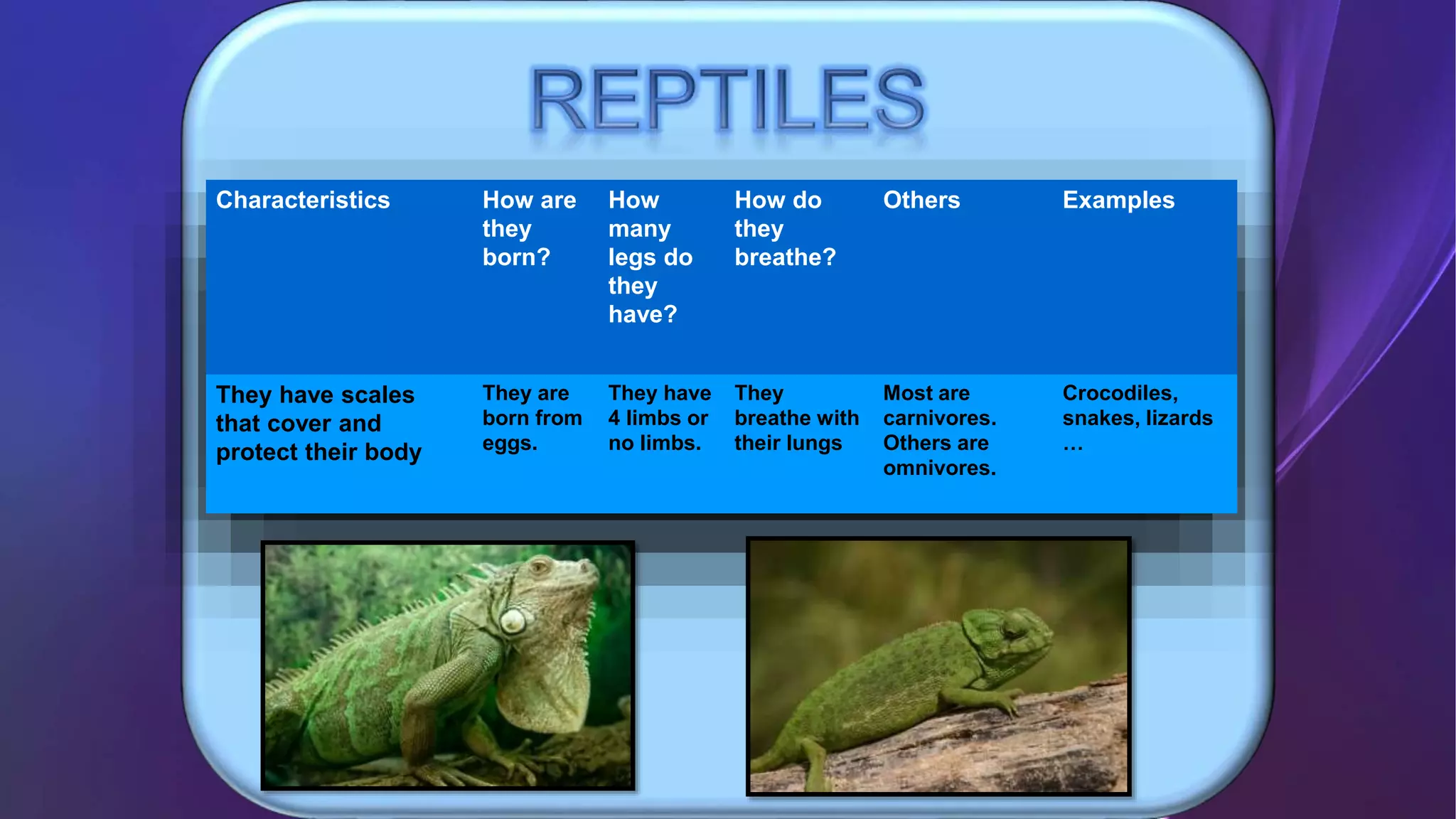 UNIT 5. NATURAL SCIENCE: REPTILES, AMPHIBIANS AND FISH | PPT | Free ...