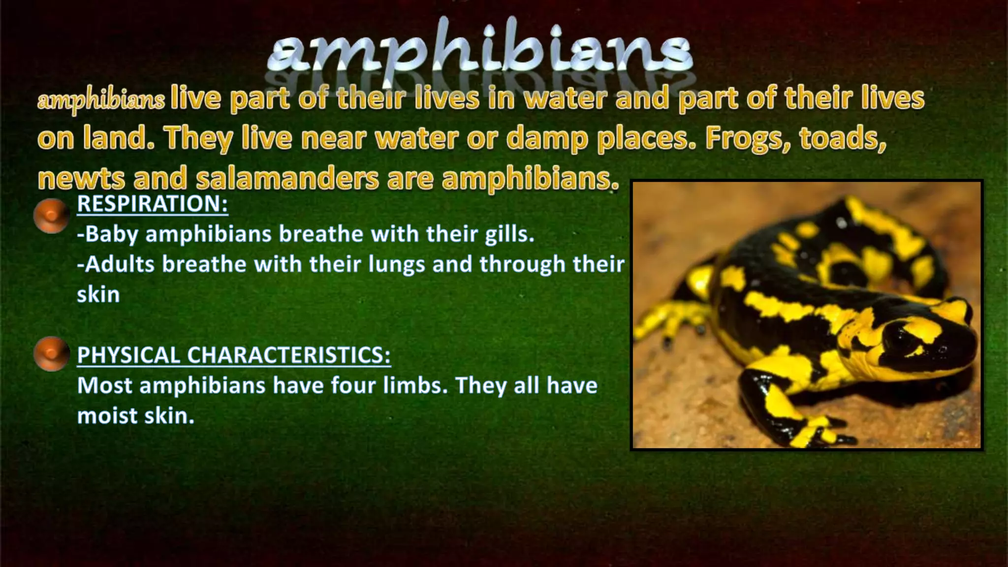UNIT 5. NATURAL SCIENCE: REPTILES, AMPHIBIANS AND FISH | PPT | Free ...