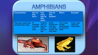 UNIT 5. NATURAL SCIENCE: REPTILES, AMPHIBIANS AND FISH | PPT | Free ...
