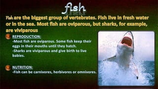 UNIT 5. NATURAL SCIENCE: REPTILES, AMPHIBIANS AND FISH | PPT | Free ...