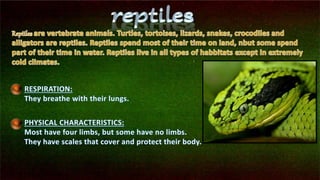 UNIT 5. NATURAL SCIENCE: REPTILES, AMPHIBIANS AND FISH | PPT | Free ...