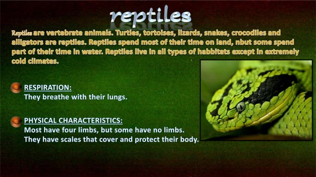 UNIT 5. NATURAL SCIENCE: REPTILES, AMPHIBIANS AND FISH | PPT | Free ...