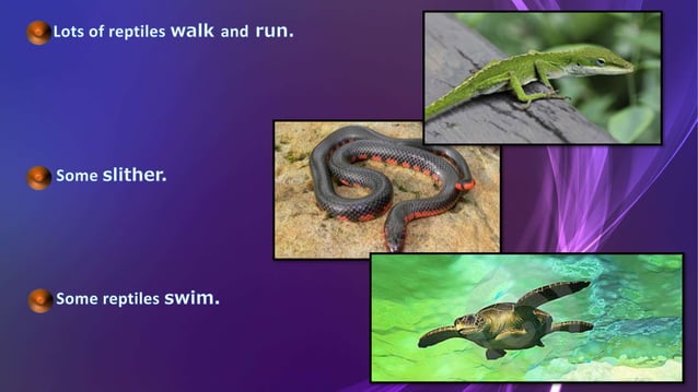 UNIT 5. NATURAL SCIENCE: REPTILES, AMPHIBIANS AND FISH | PPT | Free ...
