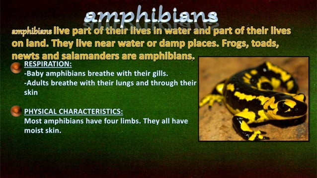 UNIT 5. NATURAL SCIENCE: REPTILES, AMPHIBIANS AND FISH | PPT | Free ...