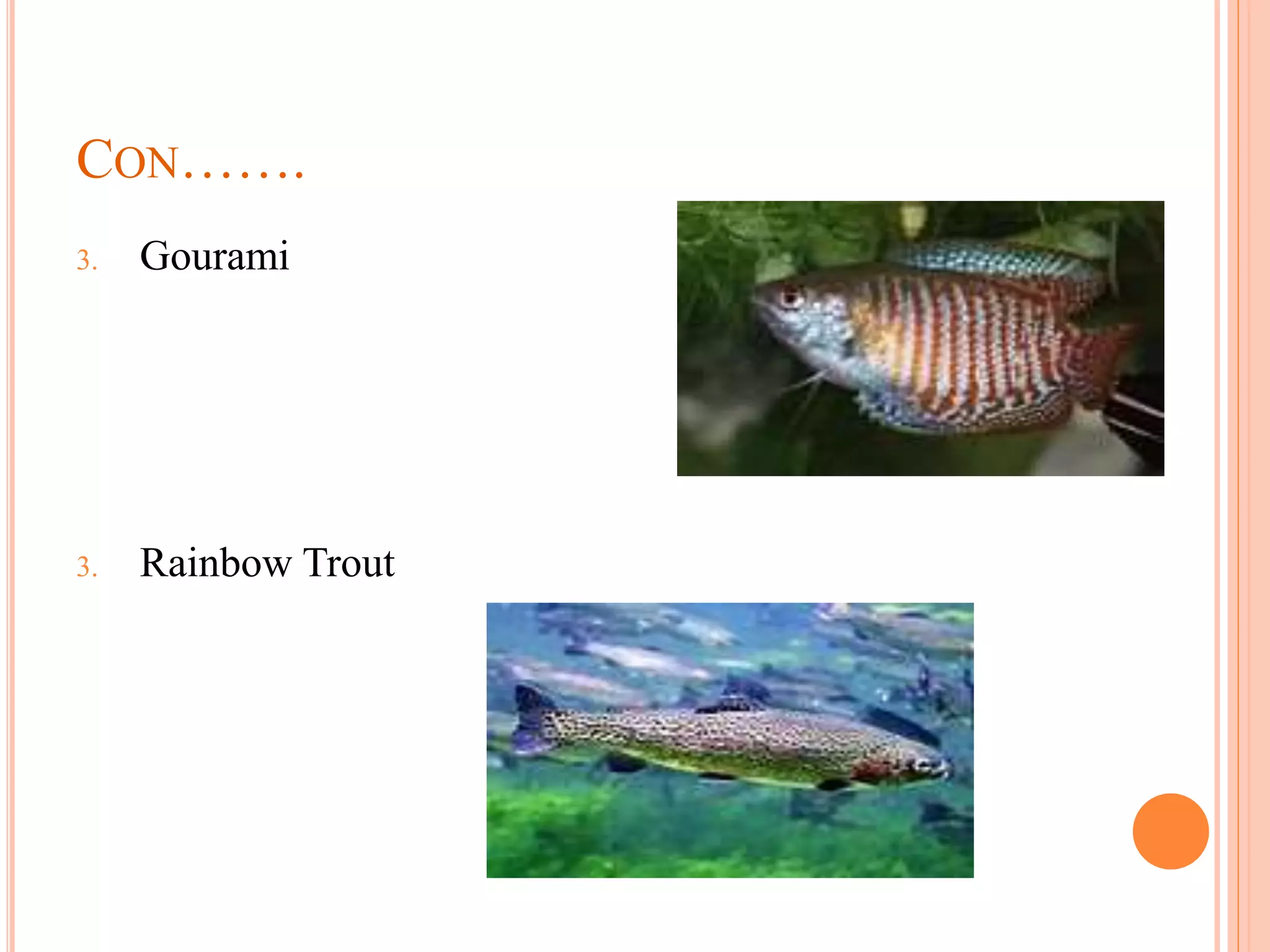 Fish resources of | PPTX