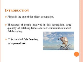 Fish resources of | PPT