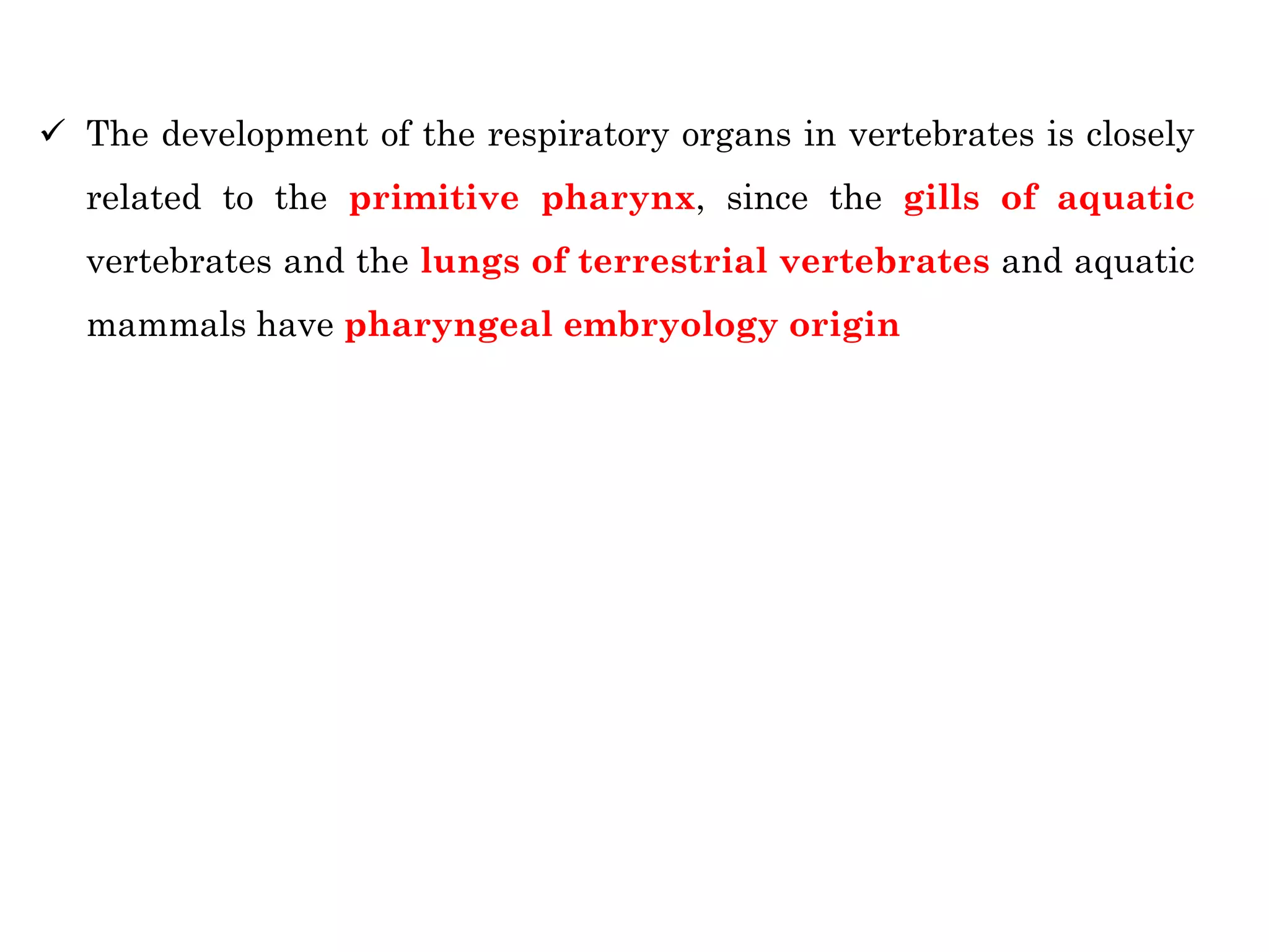 Fish respiratory system.pdf