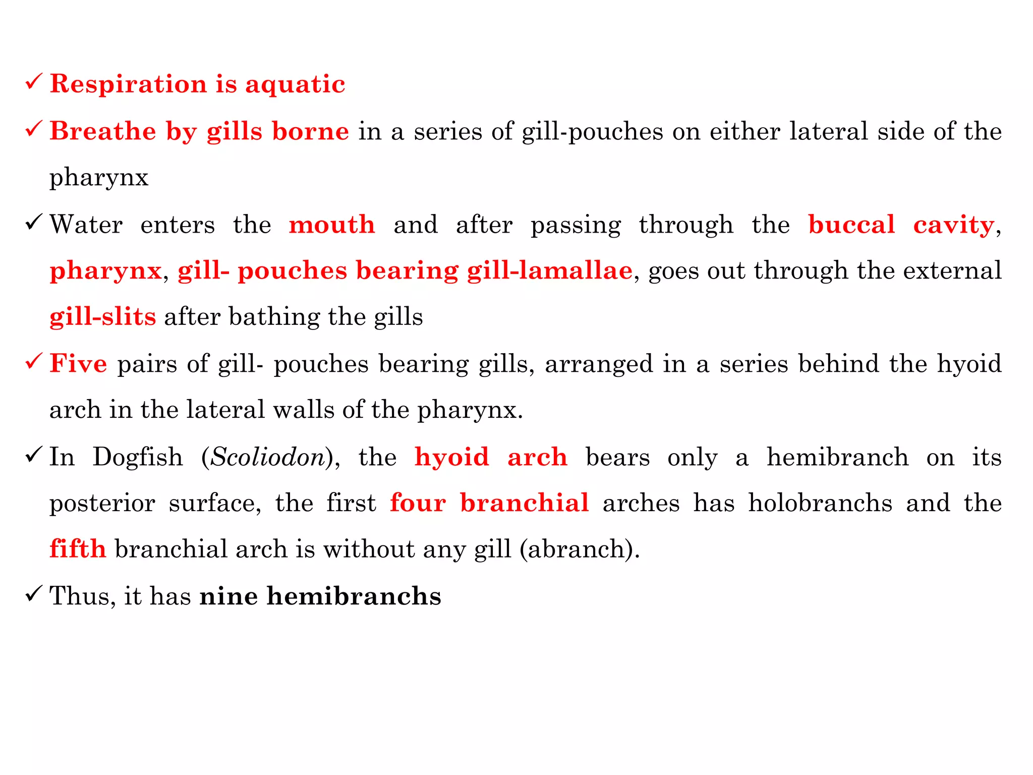 Fish respiratory system.pdf