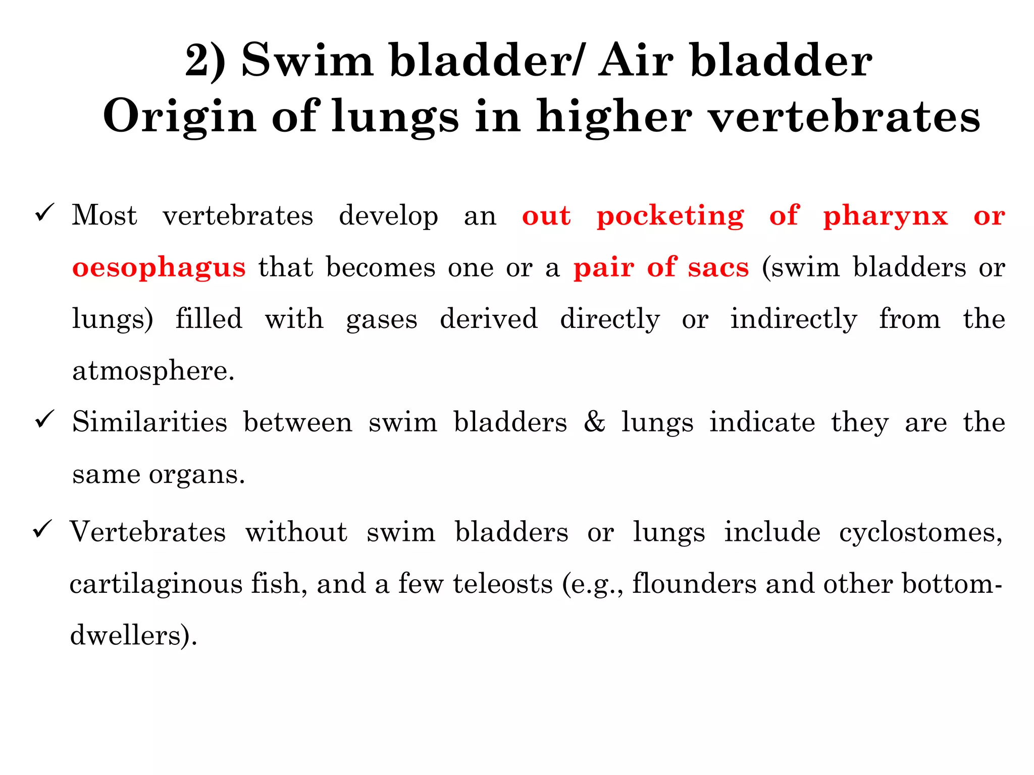 Fish respiratory system.pdf | Chemistry | Science
