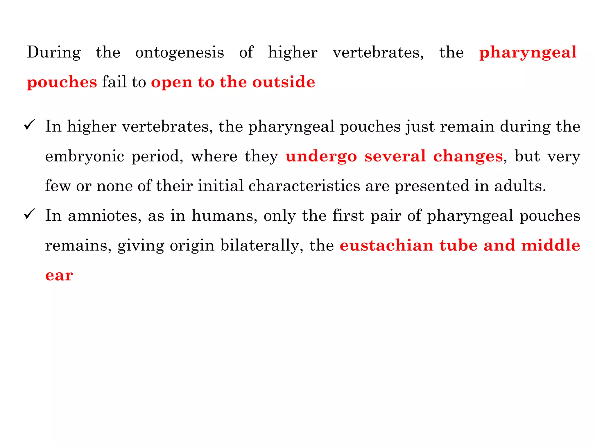 Fish respiratory system.pdf