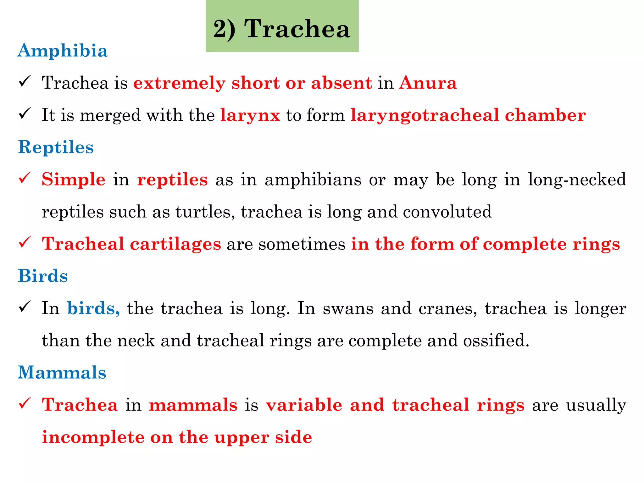 Fish respiratory system.pdf