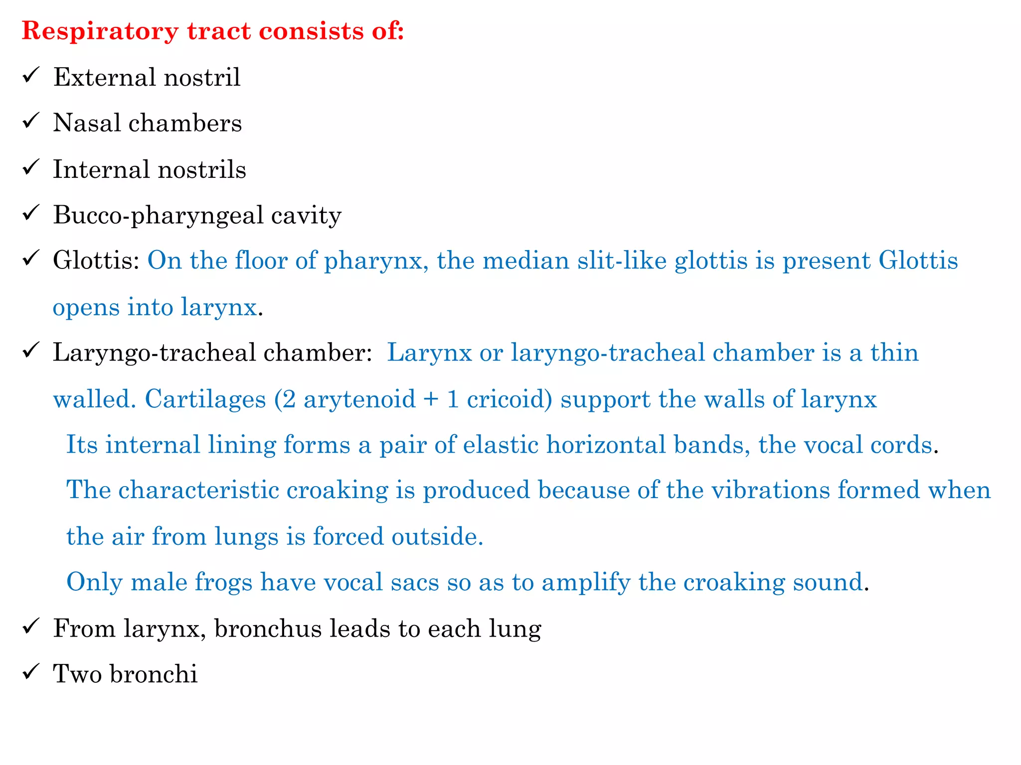 Fish respiratory system.pdf