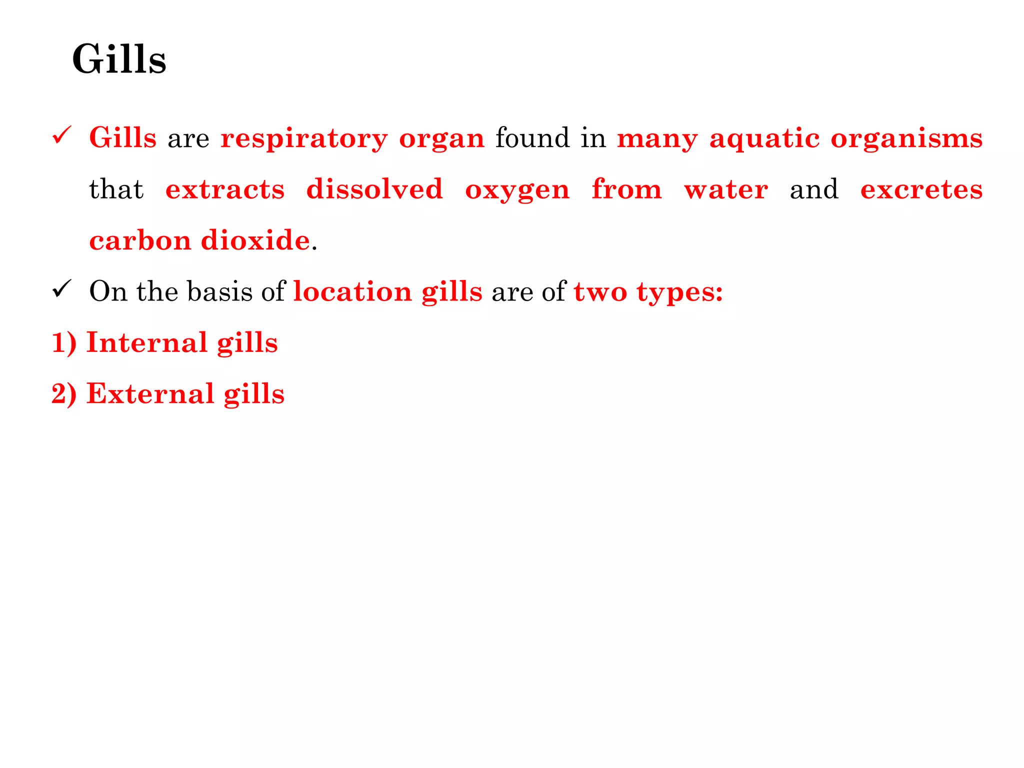 Fish respiratory system.pdf