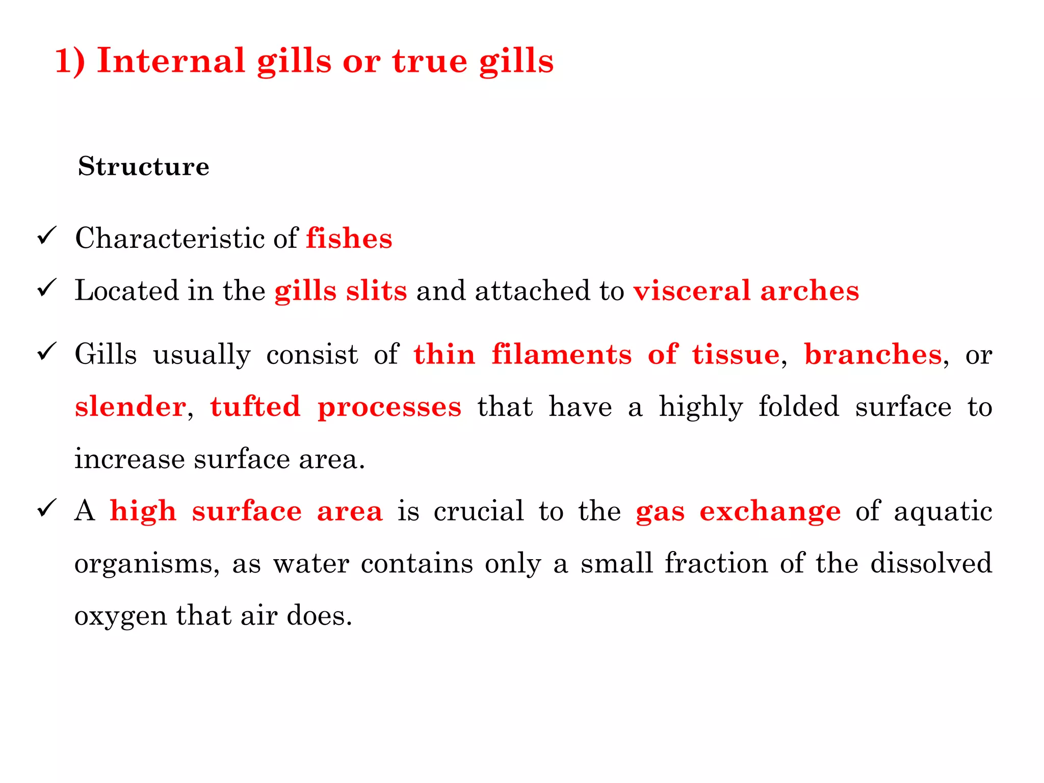 Fish respiratory system.pdf