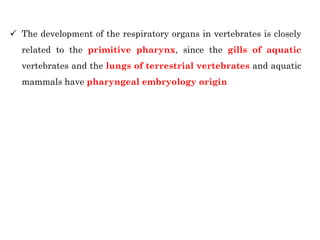 Fish respiratory system.pdf