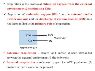 Fish respiratory system.pdf
