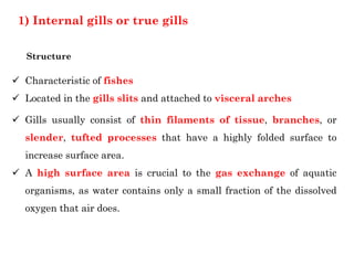 Fish respiratory system.pdf