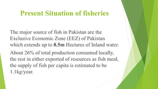 Fishries managment in pakistan | PPT