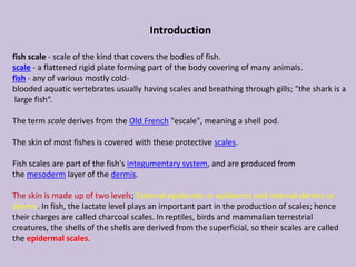 Fish scales | PPTX
